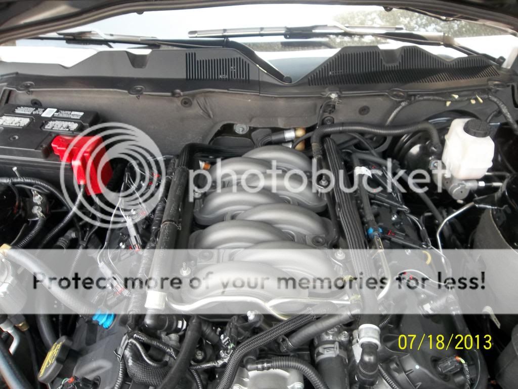 MSD 8731 2 step install on an a-6 | Modded Mustang Forums